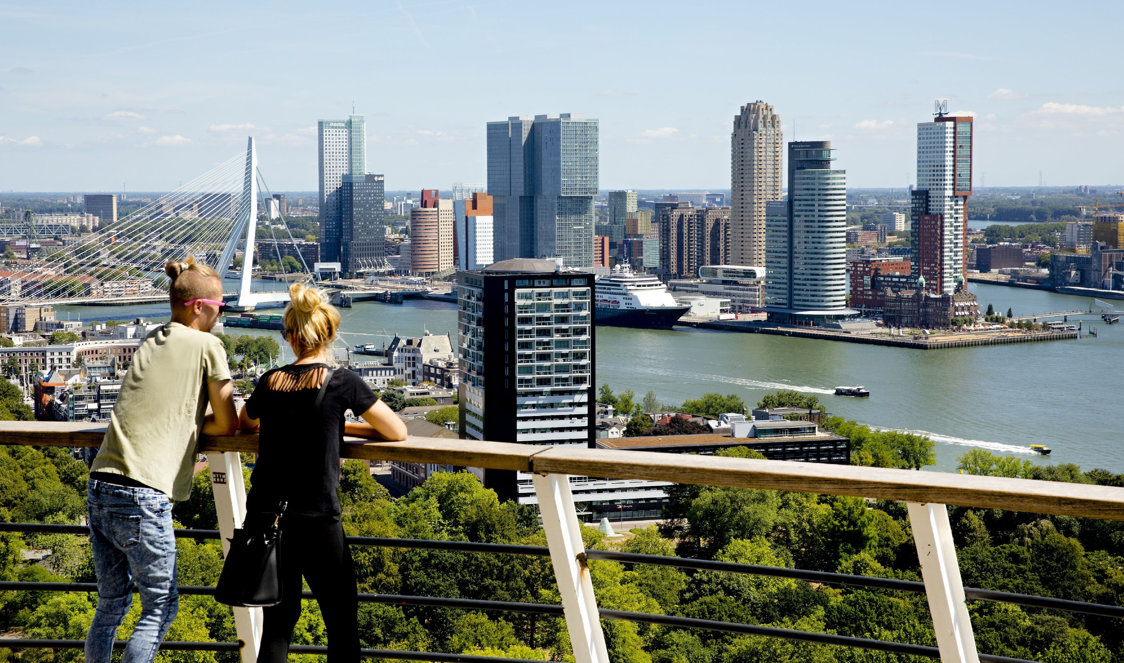 Projecten en campagnes