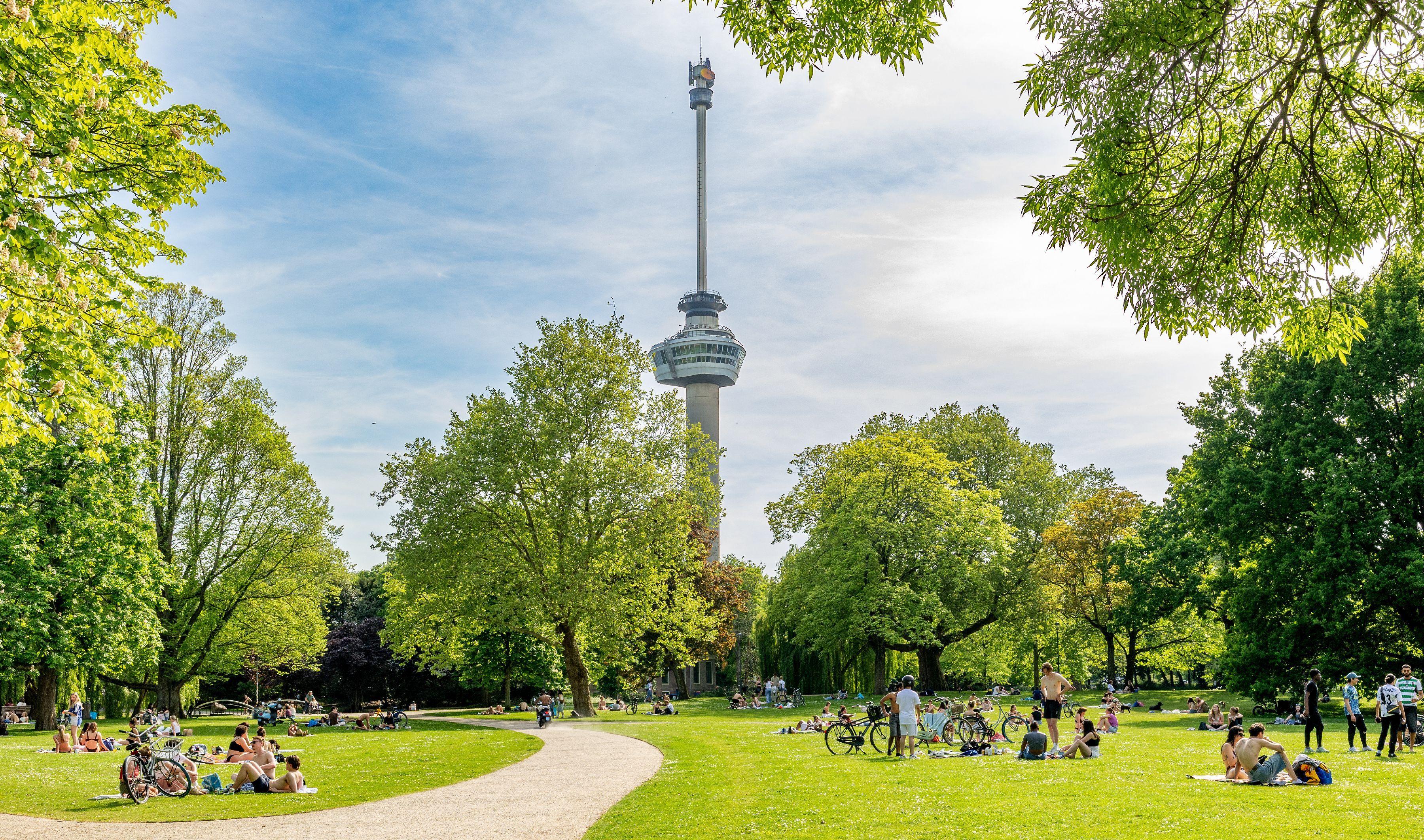 Things to Do in Rotterdam: Best Activities & Experiences | Rotterdam ...