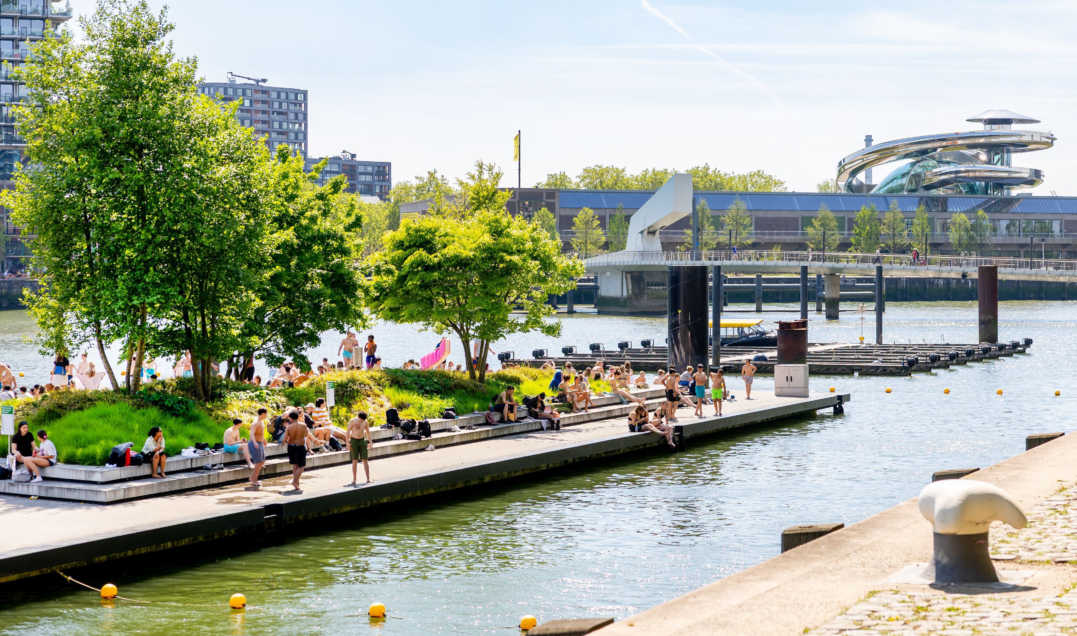 10 Things to Do in Rotterdam for Free (and on a Budget) | Rotterdam ...