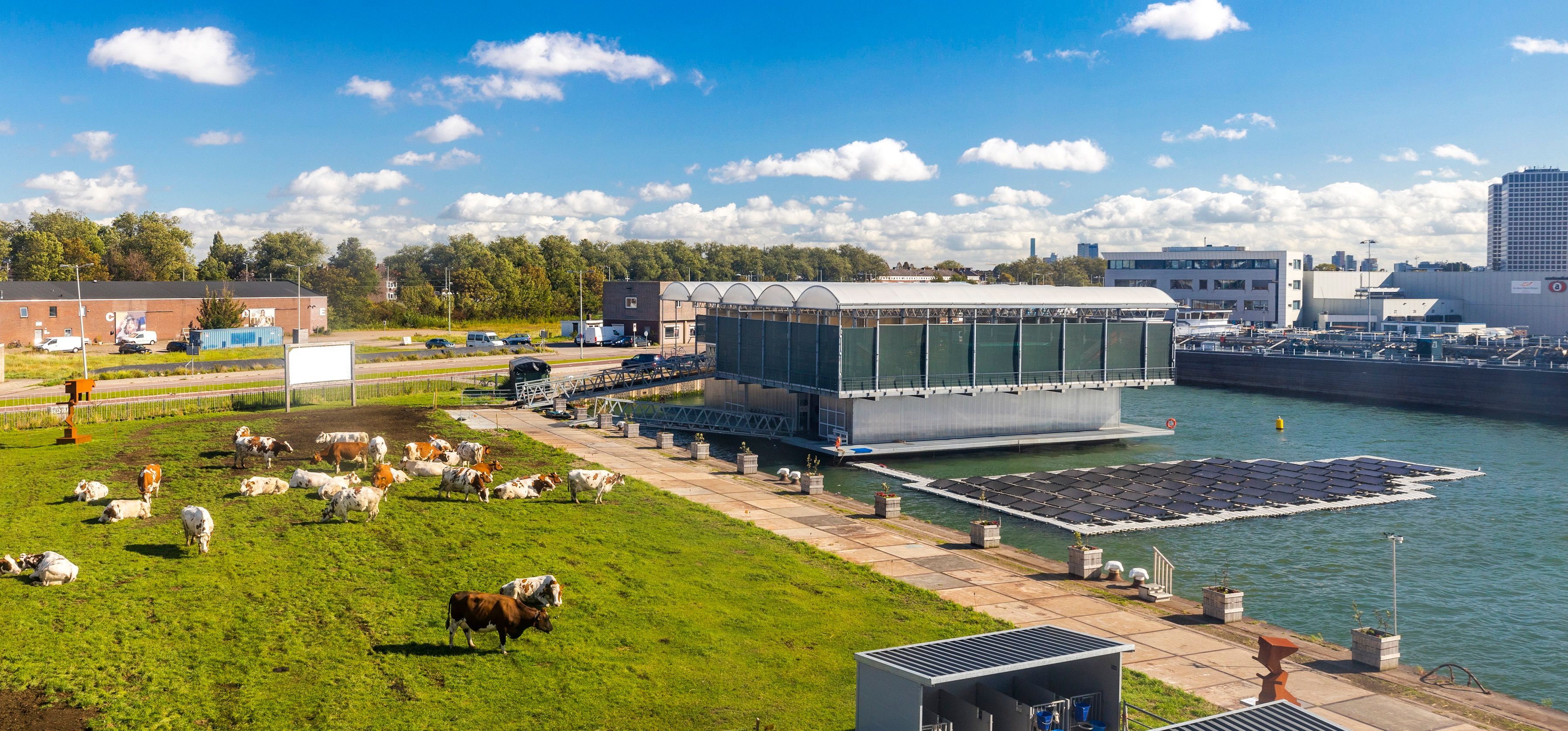 Rotterdam: sustainability and energy transition