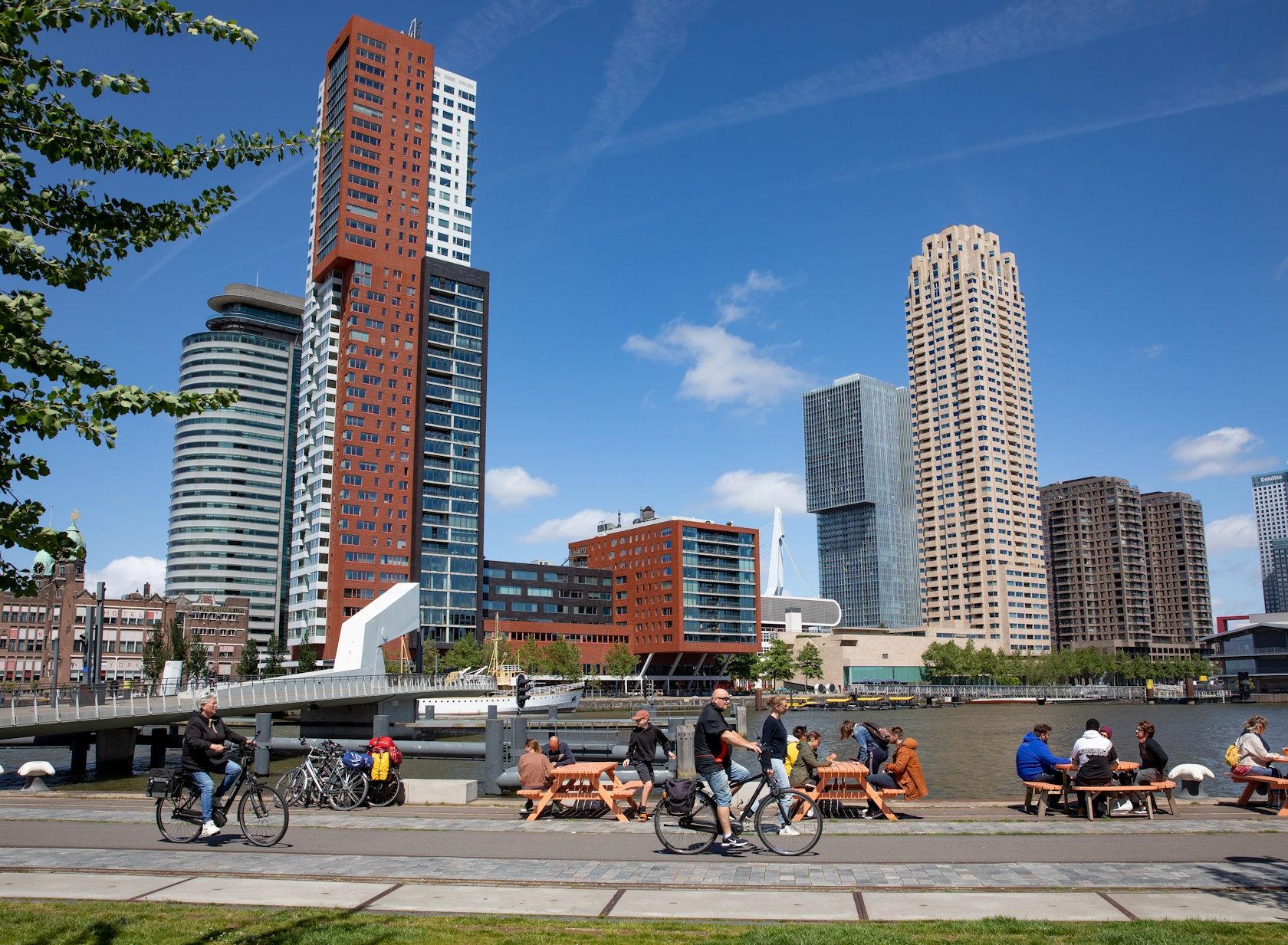 Rotterdam: Urban Planning
