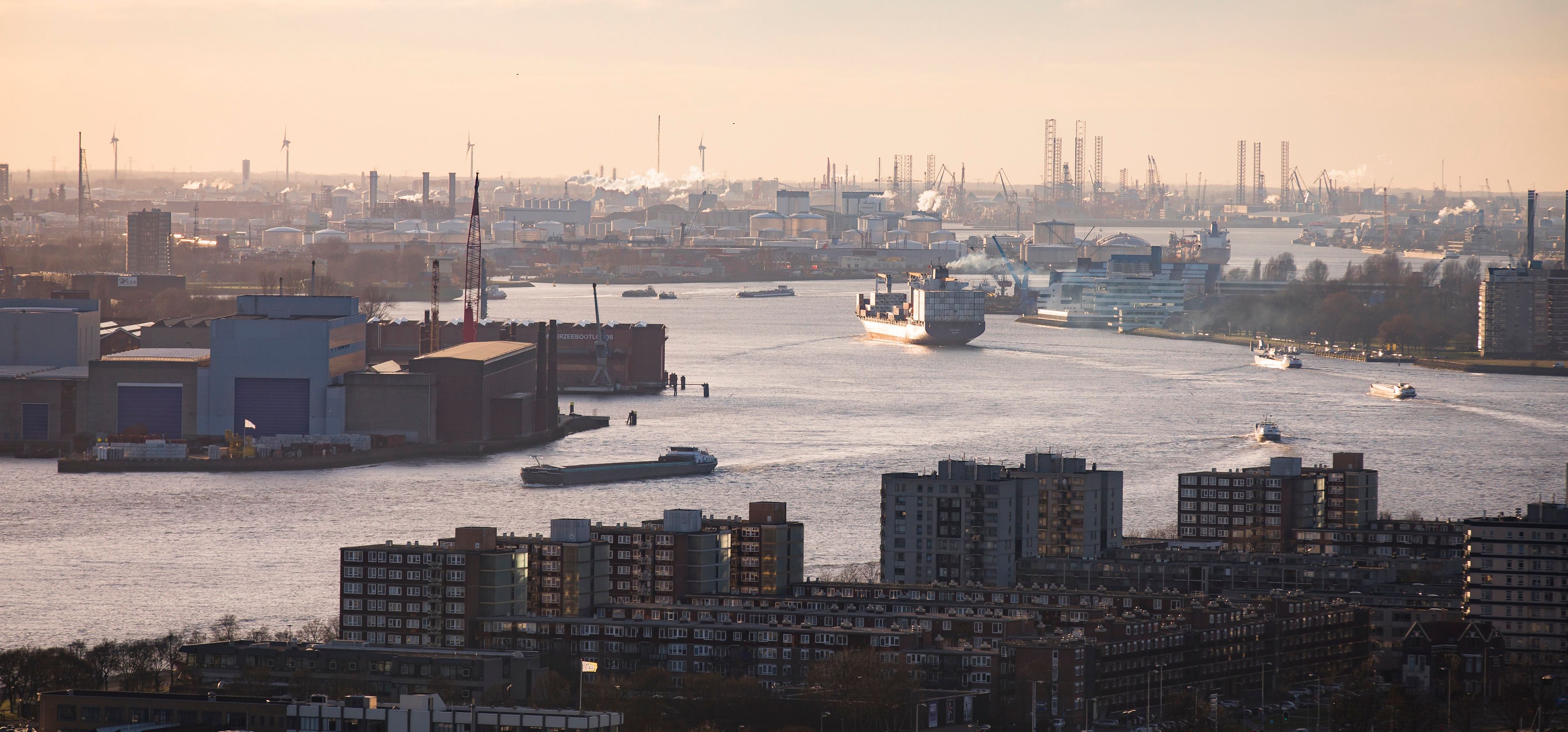 How we help | Rotterdam Partners