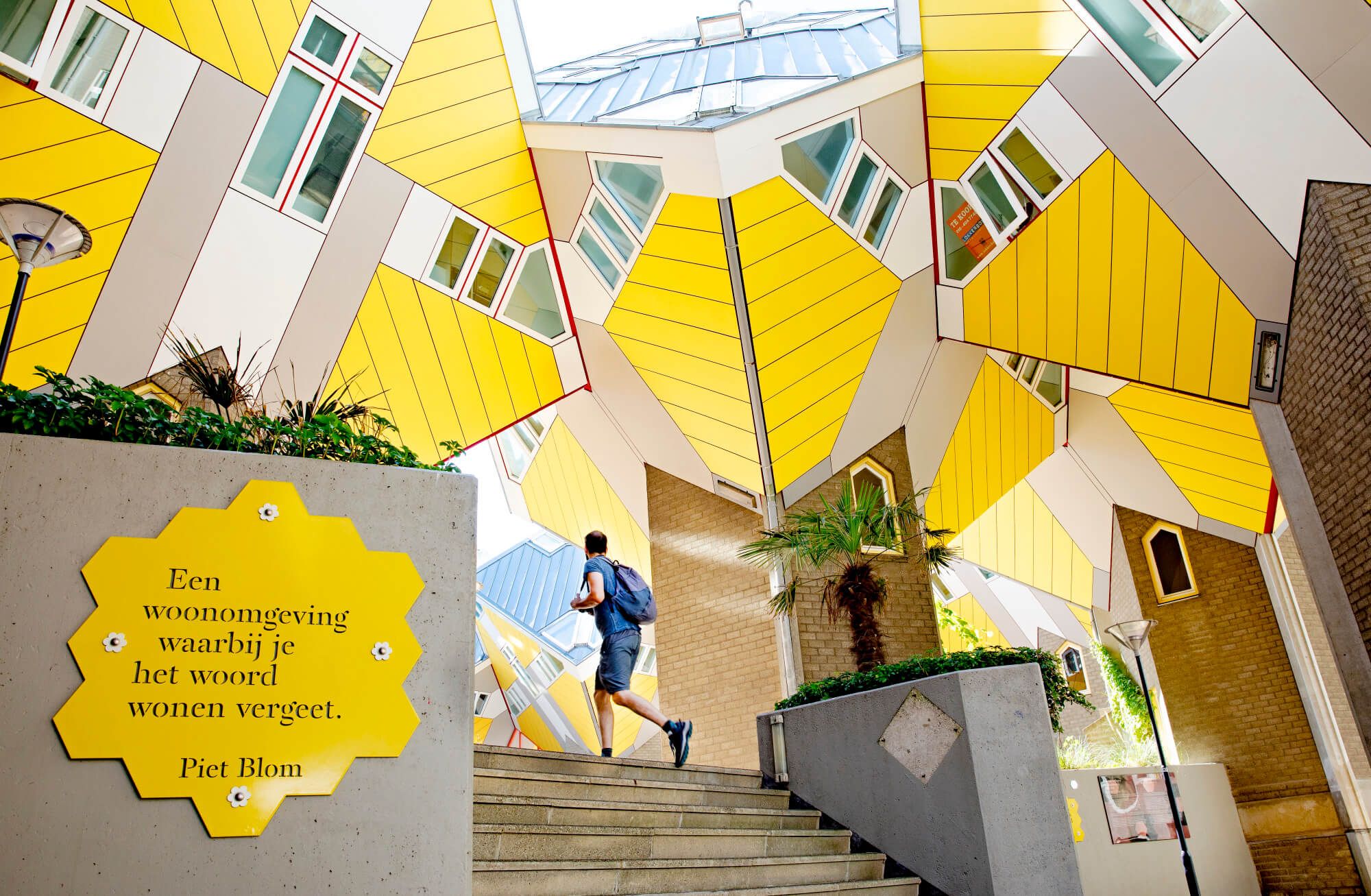 Rotterdam Architecture: Top 10 Iconic Buildings & Designs | Rotterdam ...