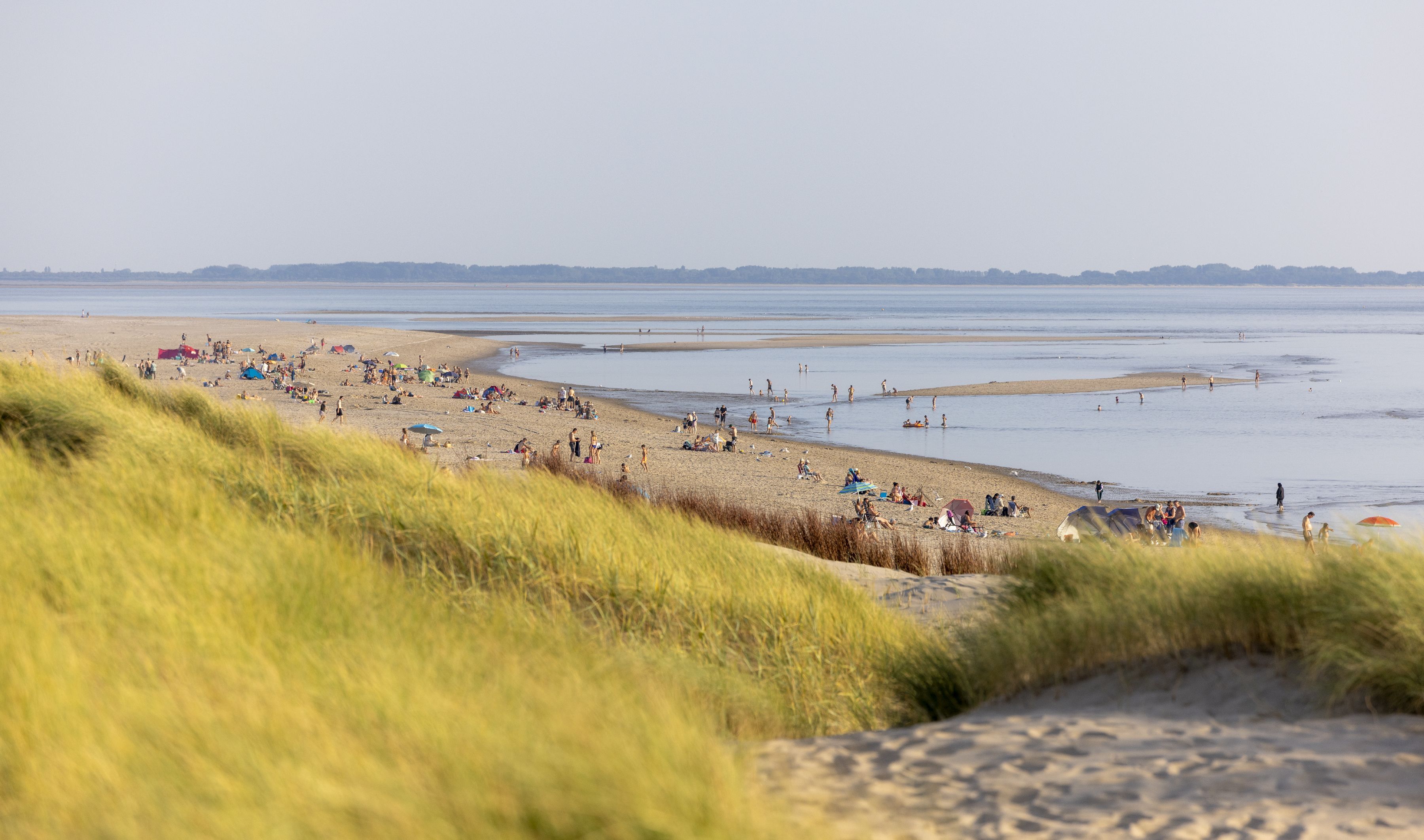 Discover Rotterdam's beaches | Rotterdam Partners