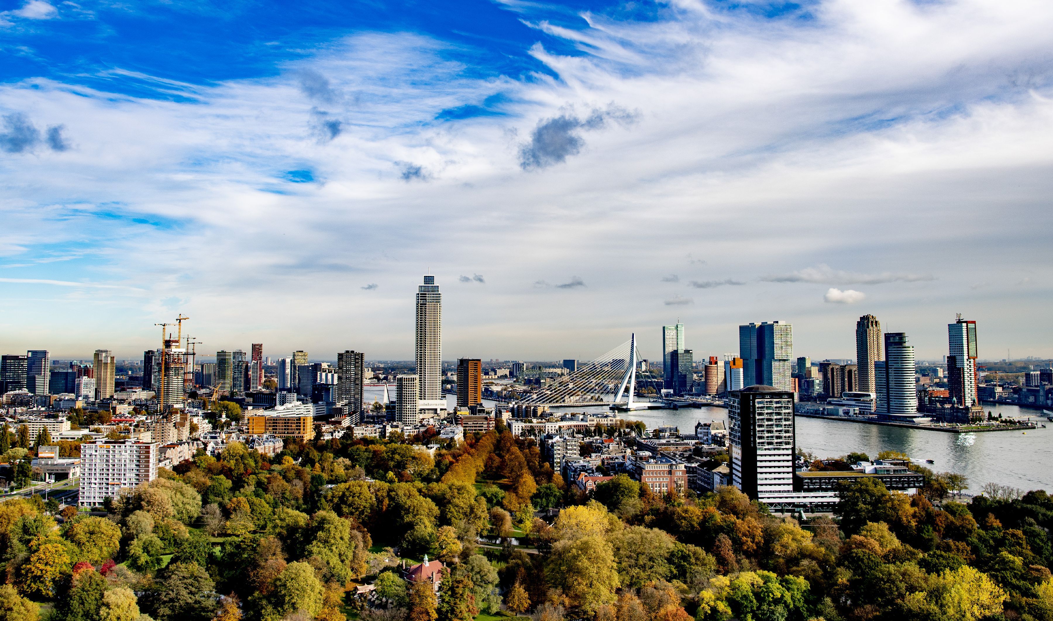 Rotterdam Architecture: City Guide to Iconic Buildings | Rotterdam Partners