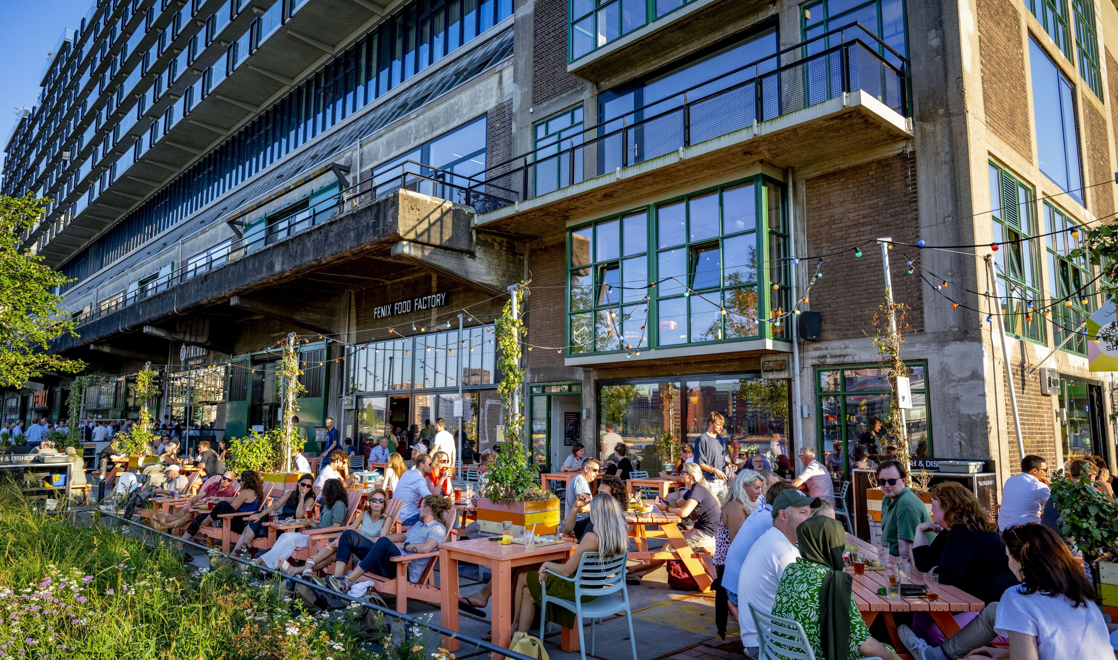 Timeless Rotterdam terraces | Rotterdam Partners